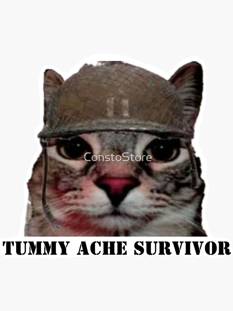 "Tummy Ache Survivor | War Cat Stare" Sticker for Sale by ConstoStore ...