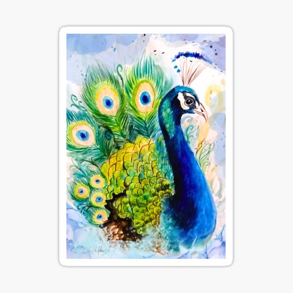 "vibrant colours of the Peacock" Sticker for Sale by CarolAnnSchleb ...