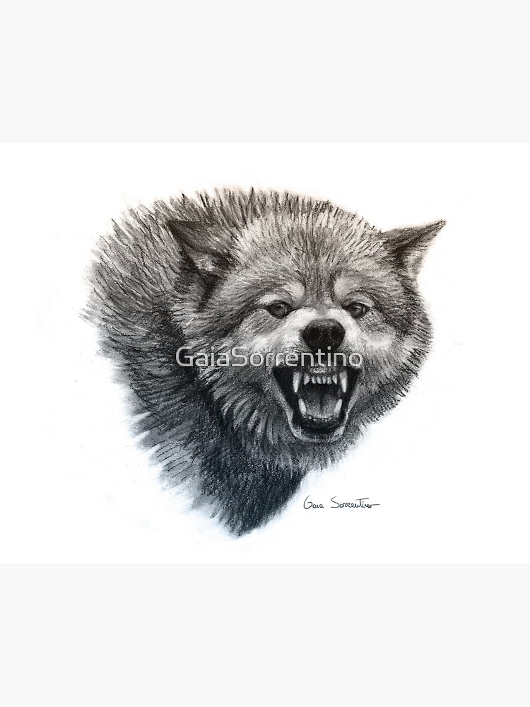 Snarling Wolf Lineart Wolf Art Drawing Wolf Drawing