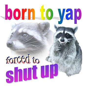 "Born to yap, forced to shut up raccoon word art" Classic T-Shirt for ...