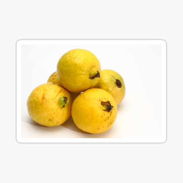 "Guava fruits" Sticker by gavila | Redbubble