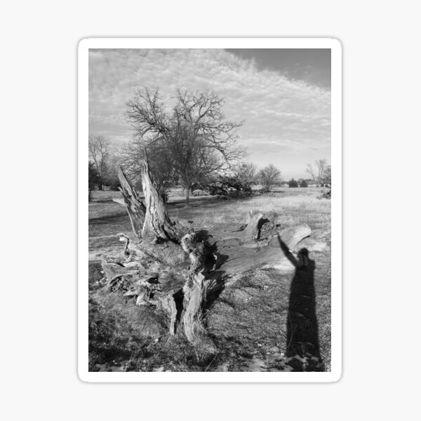 "invocation of deities " Sticker for Sale by helio-hawk | Redbubble