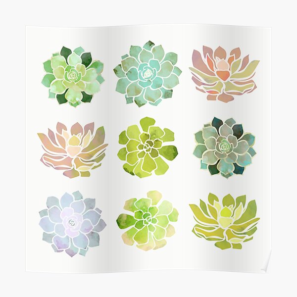 "Spring Succulents" Poster for Sale by spacefrogdesign | Redbubble