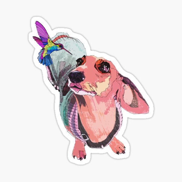 "Handsome Dachshund and beautiful Hummingbird are falling in love ...