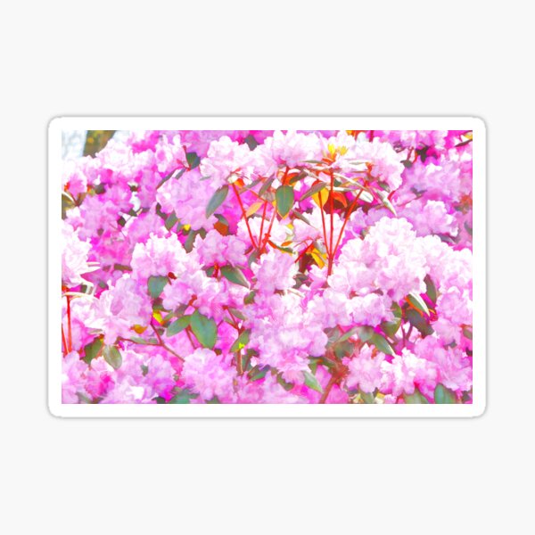 "Watercolor Azaleas" Sticker by daphsam | Redbubble