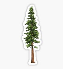 Tree Stickers | Redbubble