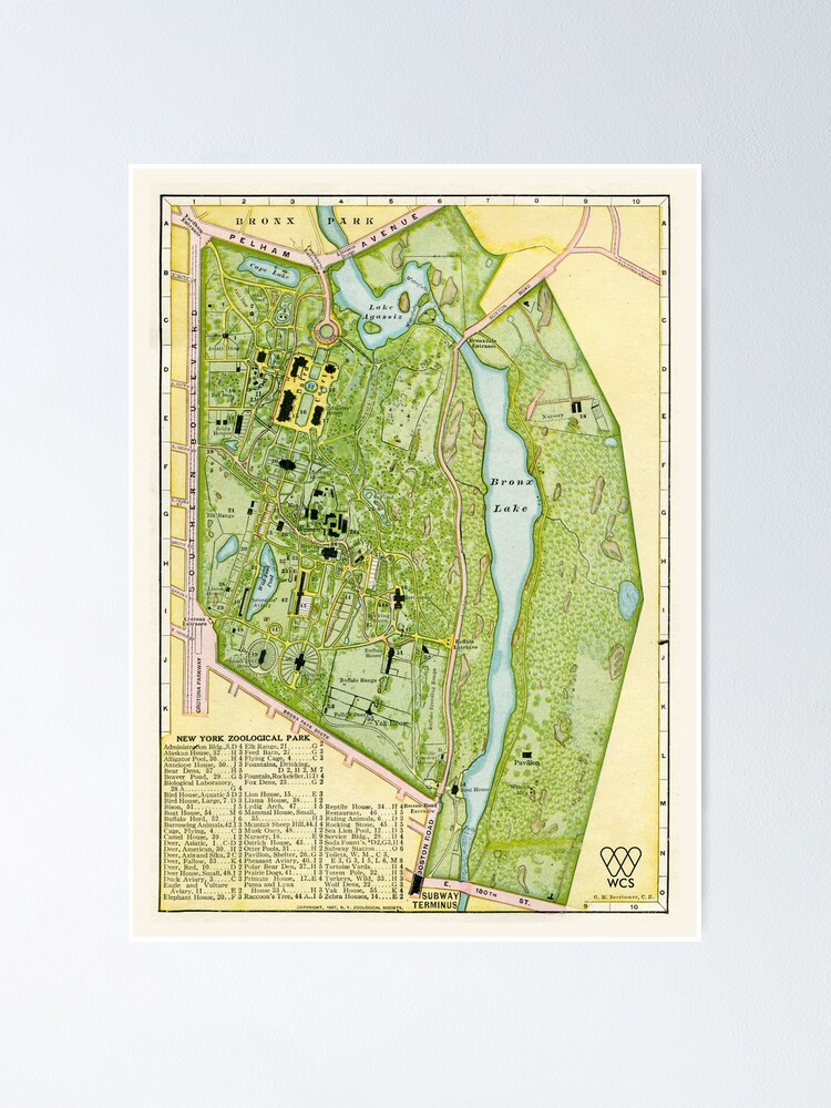Map Of Bronx Zoo Print