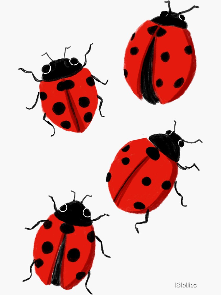 "Lady Bugs" Sticker for Sale by i8lollies | Redbubble