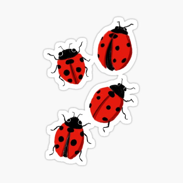"Lady Bugs" Sticker for Sale by i8lollies | Redbubble