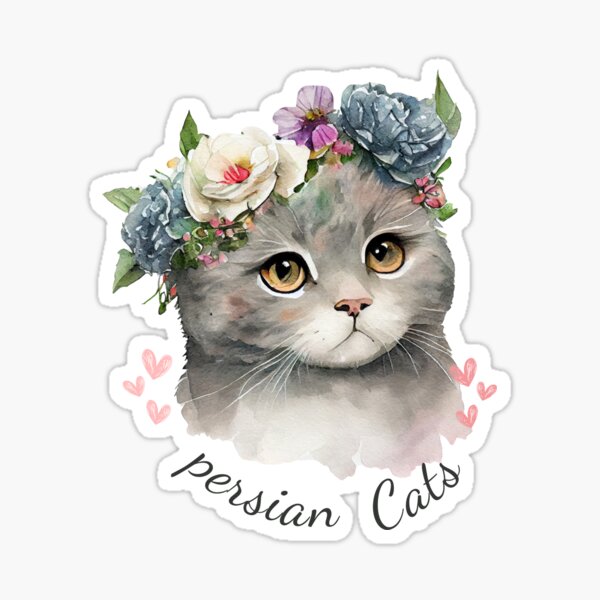 "Authentic Persian Cat: Capturing the Essence of Iran's Feline Heritage ...