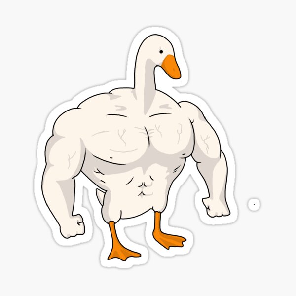 "Strong goose from gym" Sticker for Sale by szamark | Redbubble