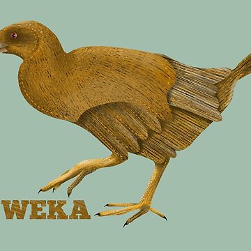 "Copy of Weka New Zealand Bird" Sticker for Sale by piedaydesigns ...