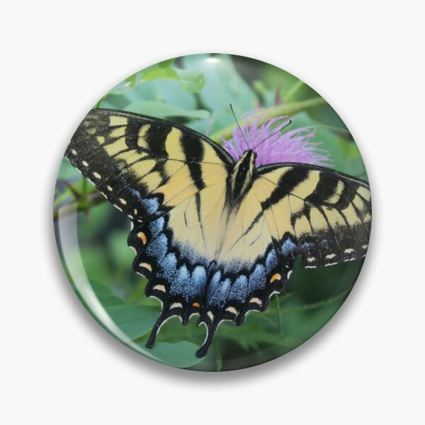 "Eastern Tiger Swallowtail Butterfly" Pin for Sale by Dennis Consorte ...