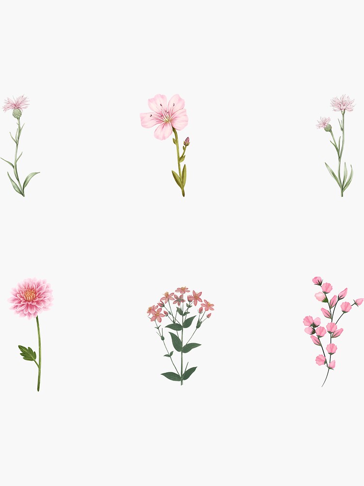 "Flower Garden Sticker, Pink Flowers Stickers Pack" Sticker for Sale by ...