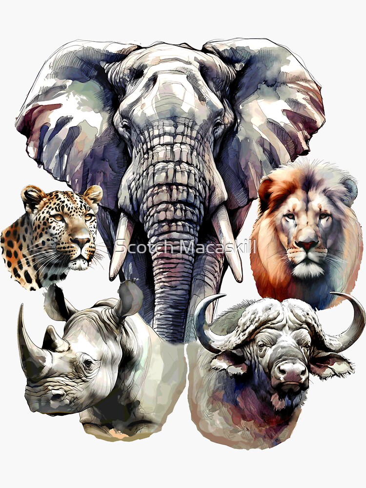 "Big Five Africa Wildlife in Watercolor for Wildlife Fans" Sticker for ...