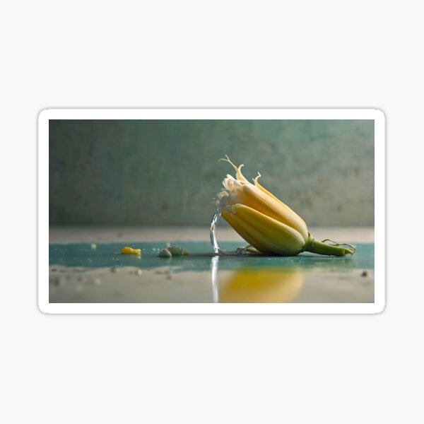 "Sunbeam Tulip Surrender, Wabi Sabi Japandi, " Sticker for Sale by ...