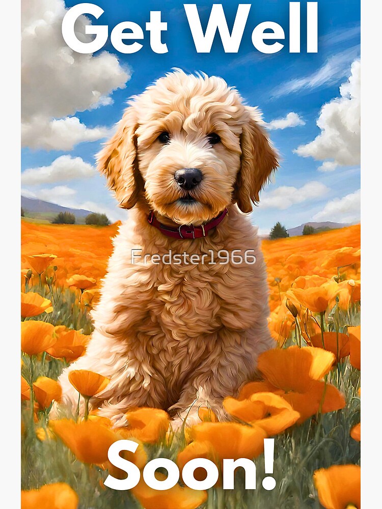 "Goldendoodle Puppy Poppy Get Well Soon Card" Greeting Card for Sale by ...