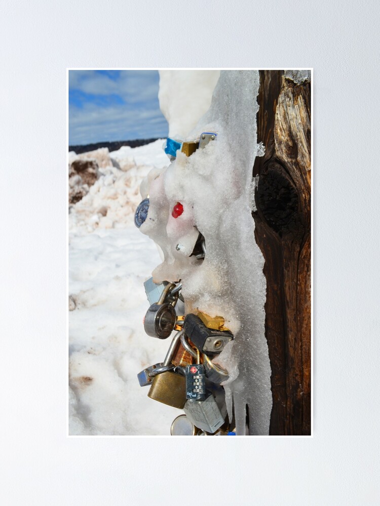 "Locks" Poster for Sale by Shontel-lee | Redbubble