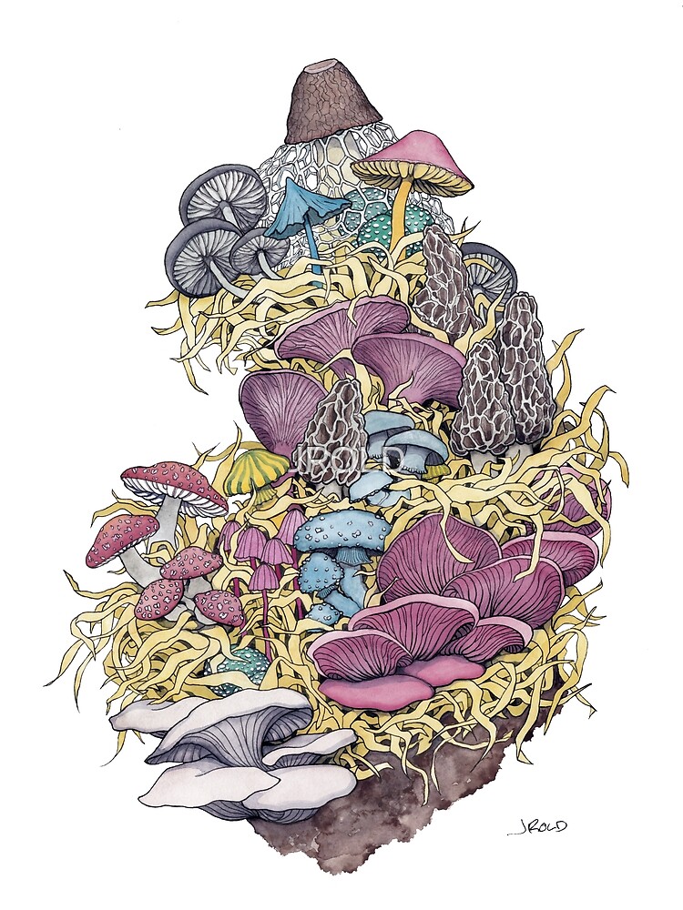 "Column Series - Mushroom Column" by JROLD | Redbubble