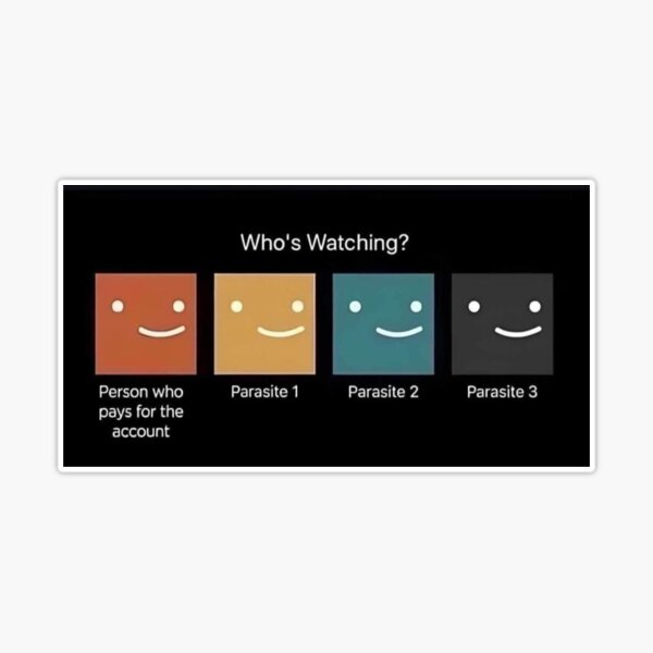 Netflix Account Memes