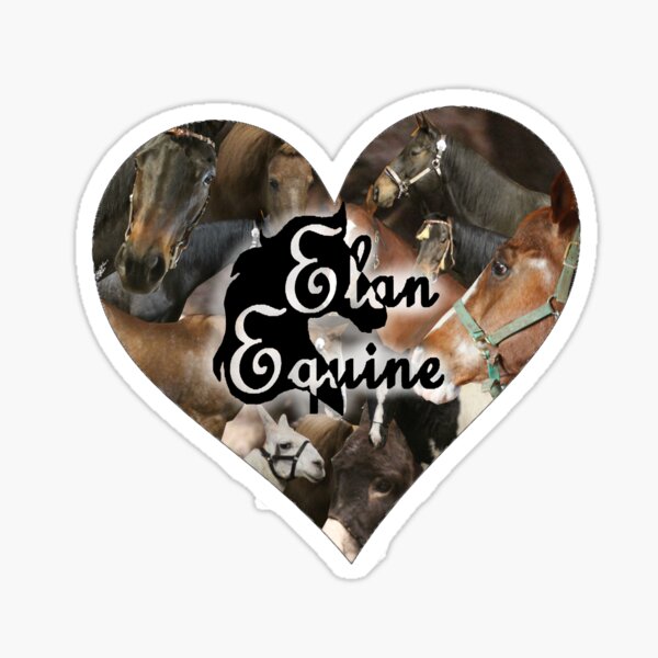 "Elan Equine Design 2" Sticker for Sale by KHerald | Redbubble