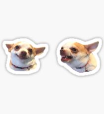 Dog Meme Stickers | Redbubble