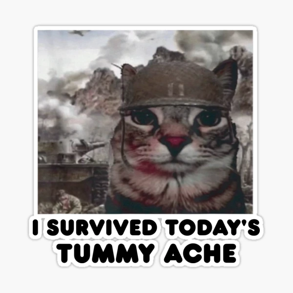 Tummy Ache Memes Gotta Go Cat Meme Imgflip
