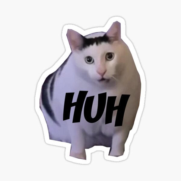 "Huh Cat Meme" Sticker for Sale by FloraPlantTees | Redbubble
