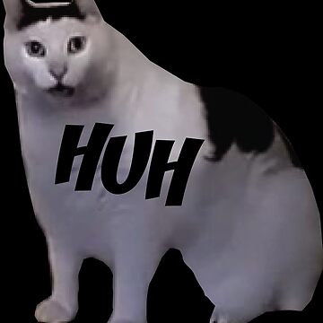 "Huh Cat Meme" Sticker for Sale by FloraPlantTees | Redbubble