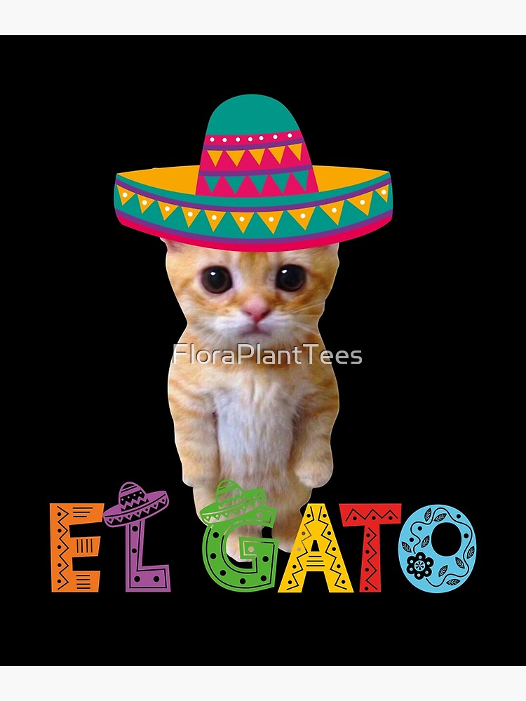 Chipotle Cat Meme Taco Cat Tacocat Funny Mexican Cinco De Mayo 2020