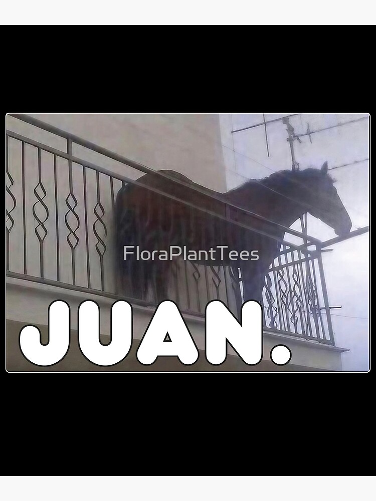 "Juan Meme Horse On Balcony, Horse Meme" Poster for Sale by ...