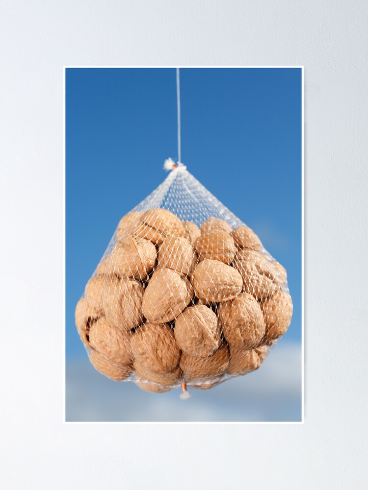 "Bag of nuts" Poster by gavila | Redbubble