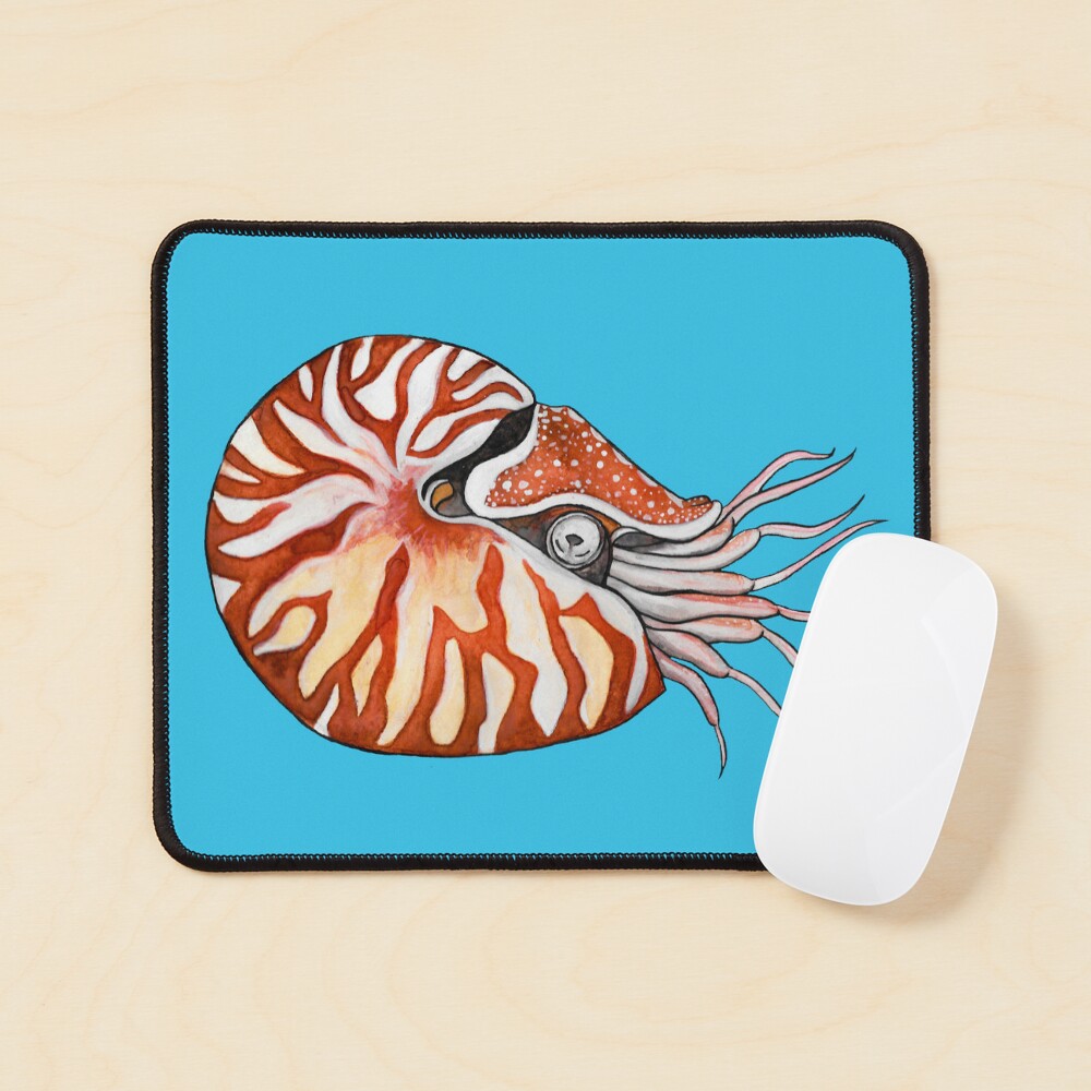 "Nautilus" Sticker for Sale by howlinglights | Redbubble
