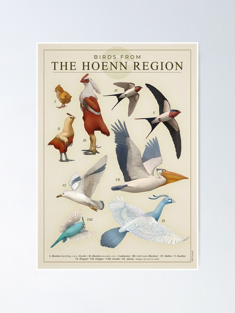 "Birds of Hóenn" Poster for Sale by julio-lacerda | Redbubble