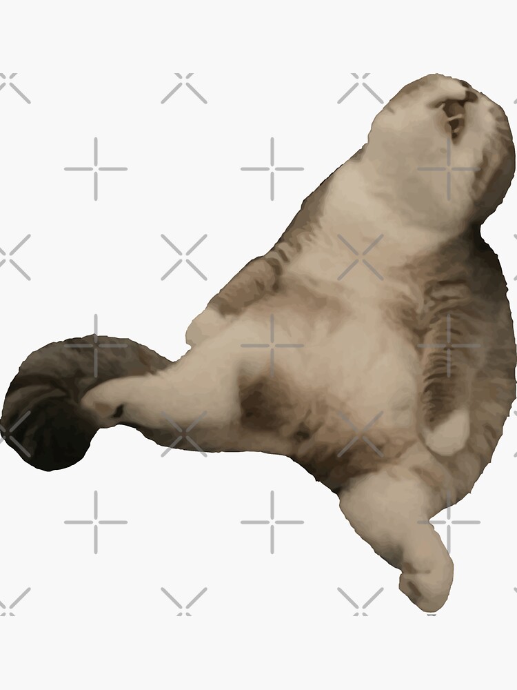 "Deep Sleep Cat Meme" Sticker for Sale by IcePools | Redbubble