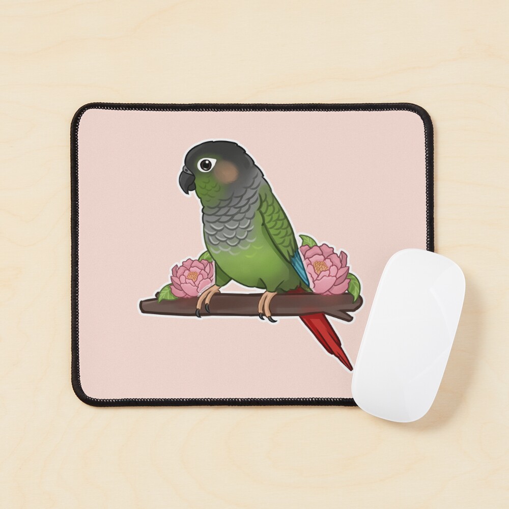 "Cute Conure" Sticker for Sale by meruesan | Redbubble