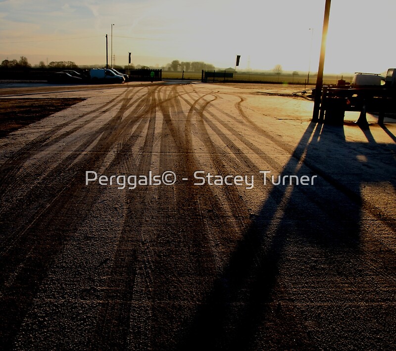 "icy tracks" by Perggals© - Stacey Turner | Redbubble
