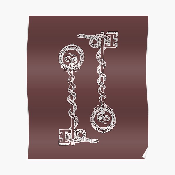 Póster «Emblema oculto de Alchemy Double Keys Alchemy» de h44k0n ...