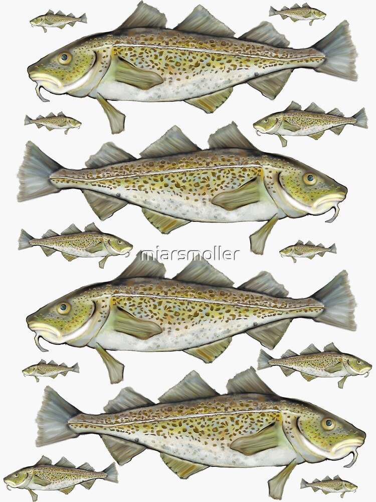 "cod fish" Sticker for Sale by miarsmoller | Redbubble