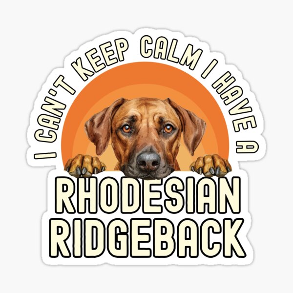 "I Cant Keep Calm I Have A Rhodesian Ridgeback" Sticker for Sale by ...