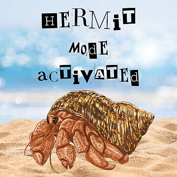 "Hermit Mode Activated Hermit Crab on Beach" Sticker for Sale by ...