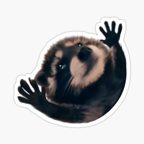 Pegatina for Sale con la obra «Pedro Pedro mapache gracioso Meme» de ...