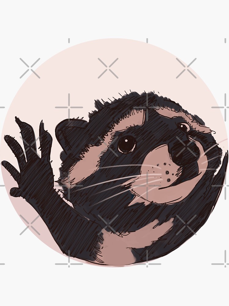 "Dancing Raccoon Pedro Meme" Sticker by Asutip | Redbubble