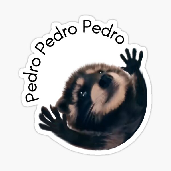 "Pedro raccoon funny viral video Meme " Sticker for Sale by DariaMiller ...