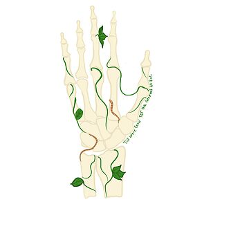 "Everywhere Everything" Sticker for Sale by georgia-sharpe | Redbubble