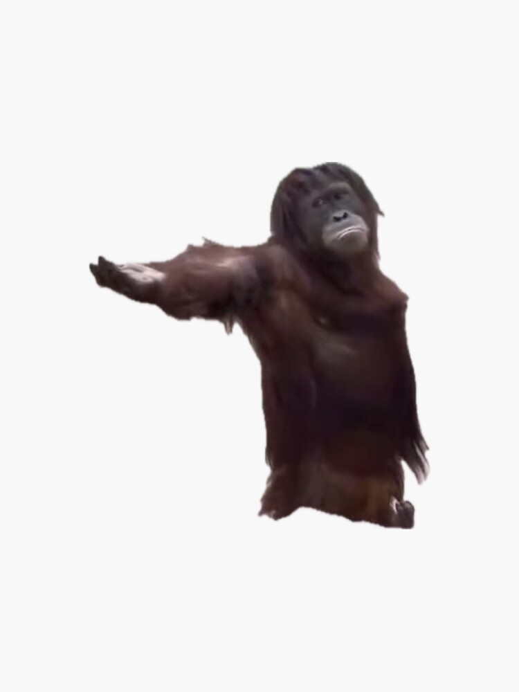 "Monkey Hand Out Give Me | Meme" Sticker for Sale by ConstoStore ...