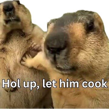 "Hol up, let him cook | Meme" Sticker for Sale by ConstoStore | Redbubble