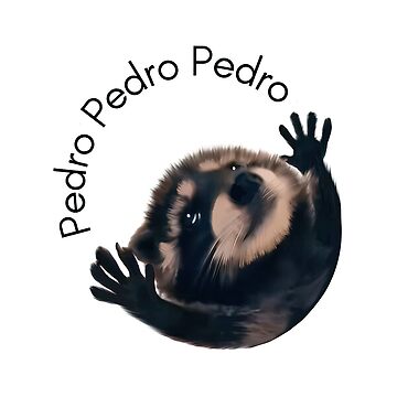 "Pedro Raccoon Meme" Sticker for Sale by Alex Mercer | Redbubble
