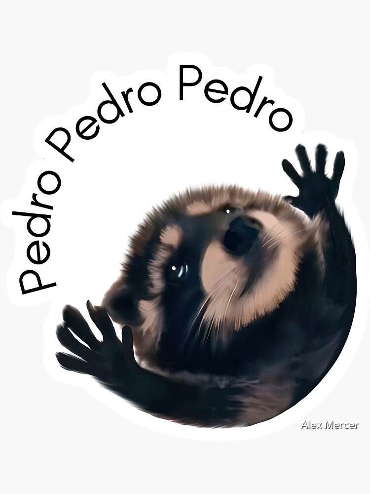 "Pedro Raccoon Meme" Sticker for Sale by Alex Mercer | Redbubble