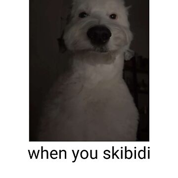 "skibidi dog meme" Greeting Card for Sale by Hinadio | Redbubble